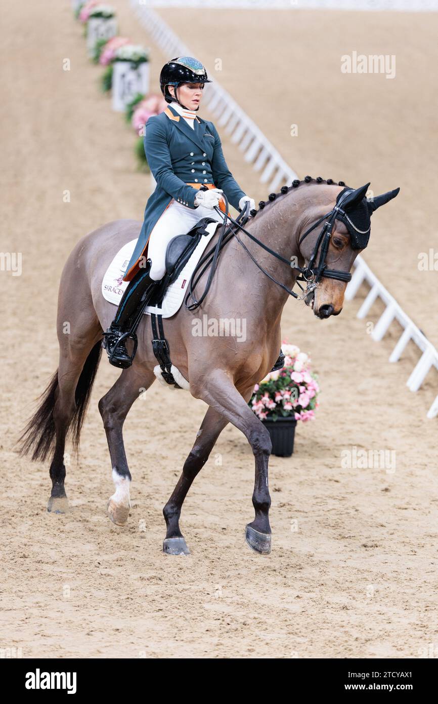 Abigail Lyle d'Irlande avec Giraldo lors de la coupe du monde de dressage FEI Freestyle au ...