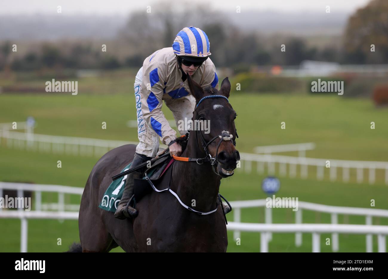 Capitaine Guinness avec Rachael Blackmore lors du Bar One Racing ...