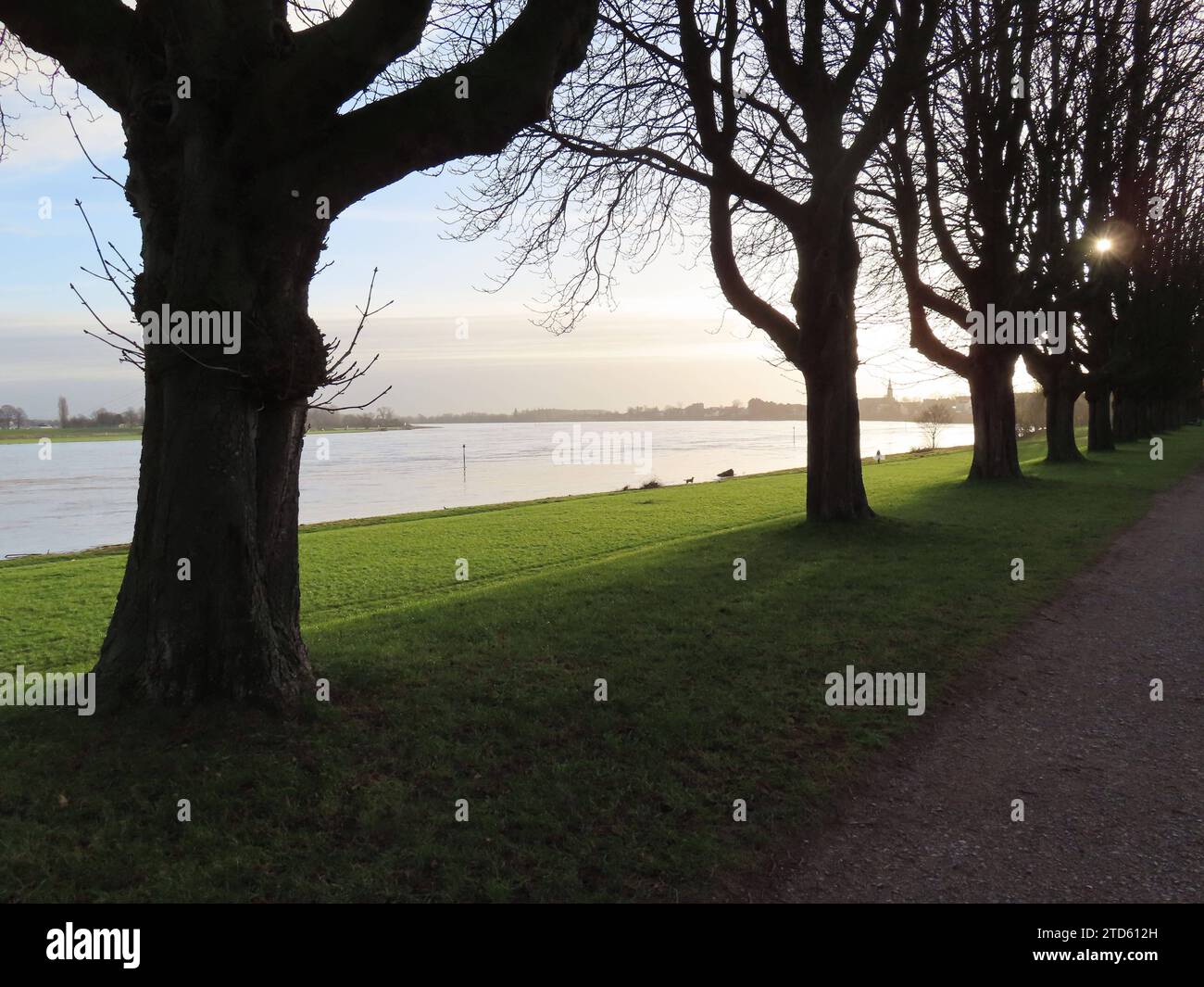 Blick zwischen Kastanienbaeumen auf den Rheinstrom BEI Neuss mit ...