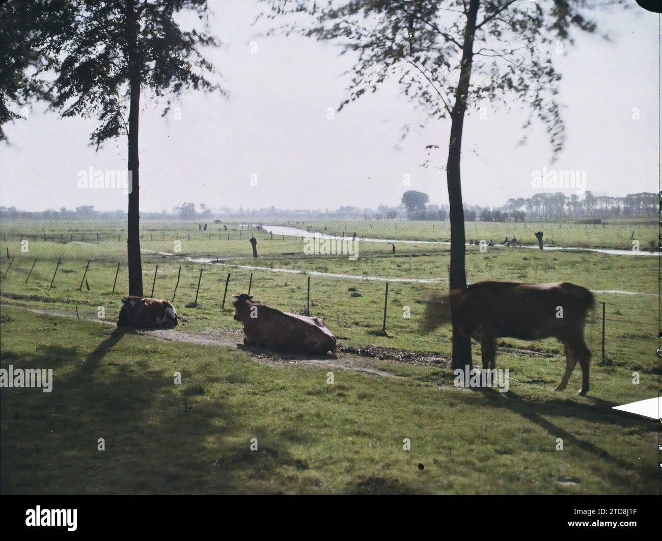 River yser Banque de photographies et d’images à haute résolution - Alamy