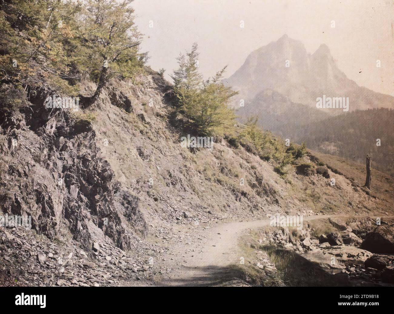 Vallée d'Ossau, basses-Pyrénées, France, nature, Environnement, paysage ...