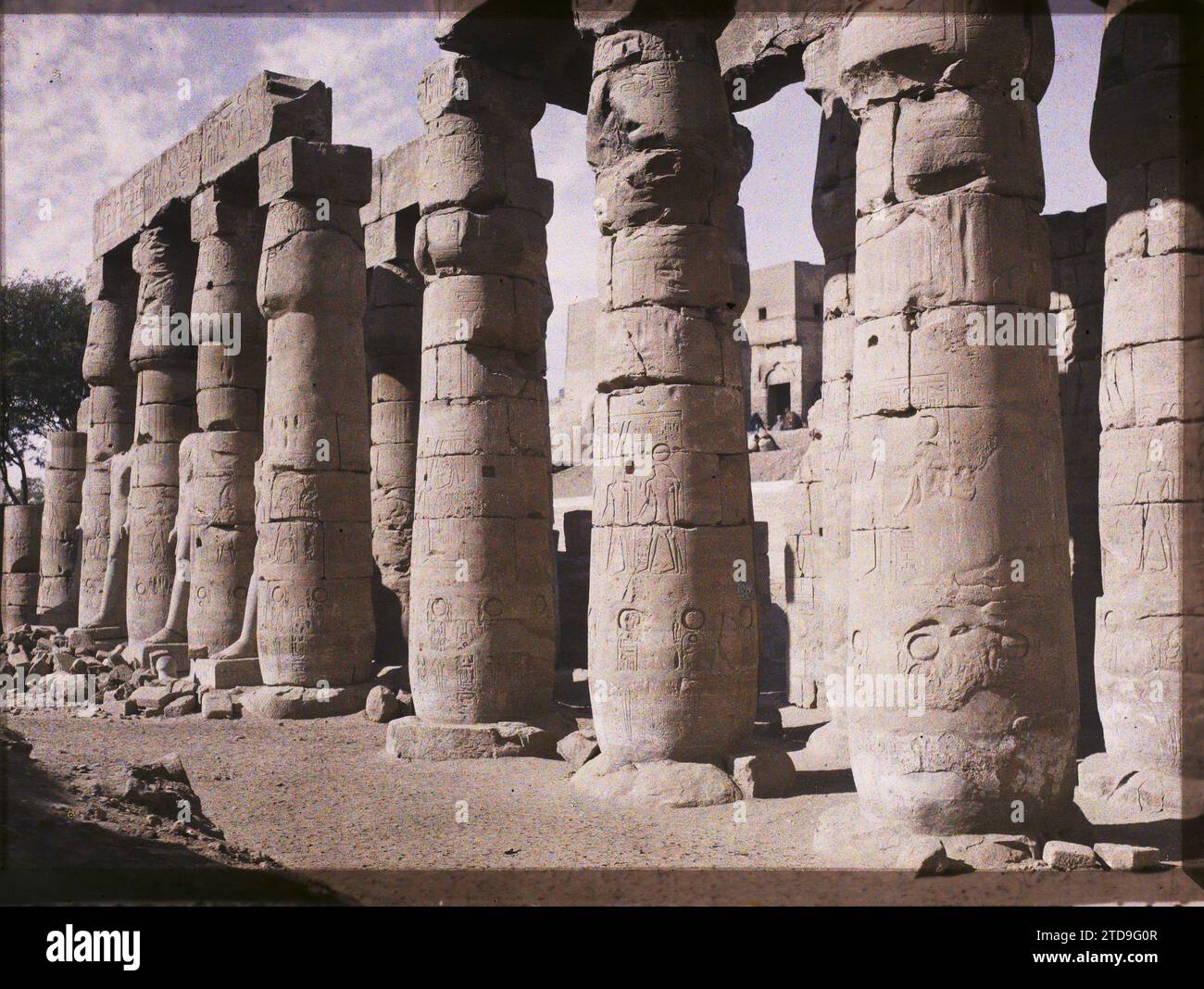 Louqsor, Egypte, Afrique Colonnade dans la cour de Ramsès II, Habitat ...