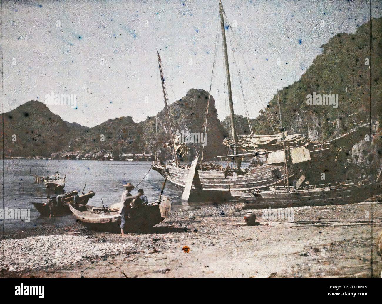 Flambage annuel Banque de photographies et d’images à haute résolution ...