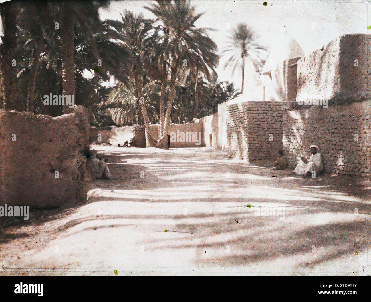 Oasis de Biskra, Algérie Un chemin de terre du village de Bab el Ralek ...