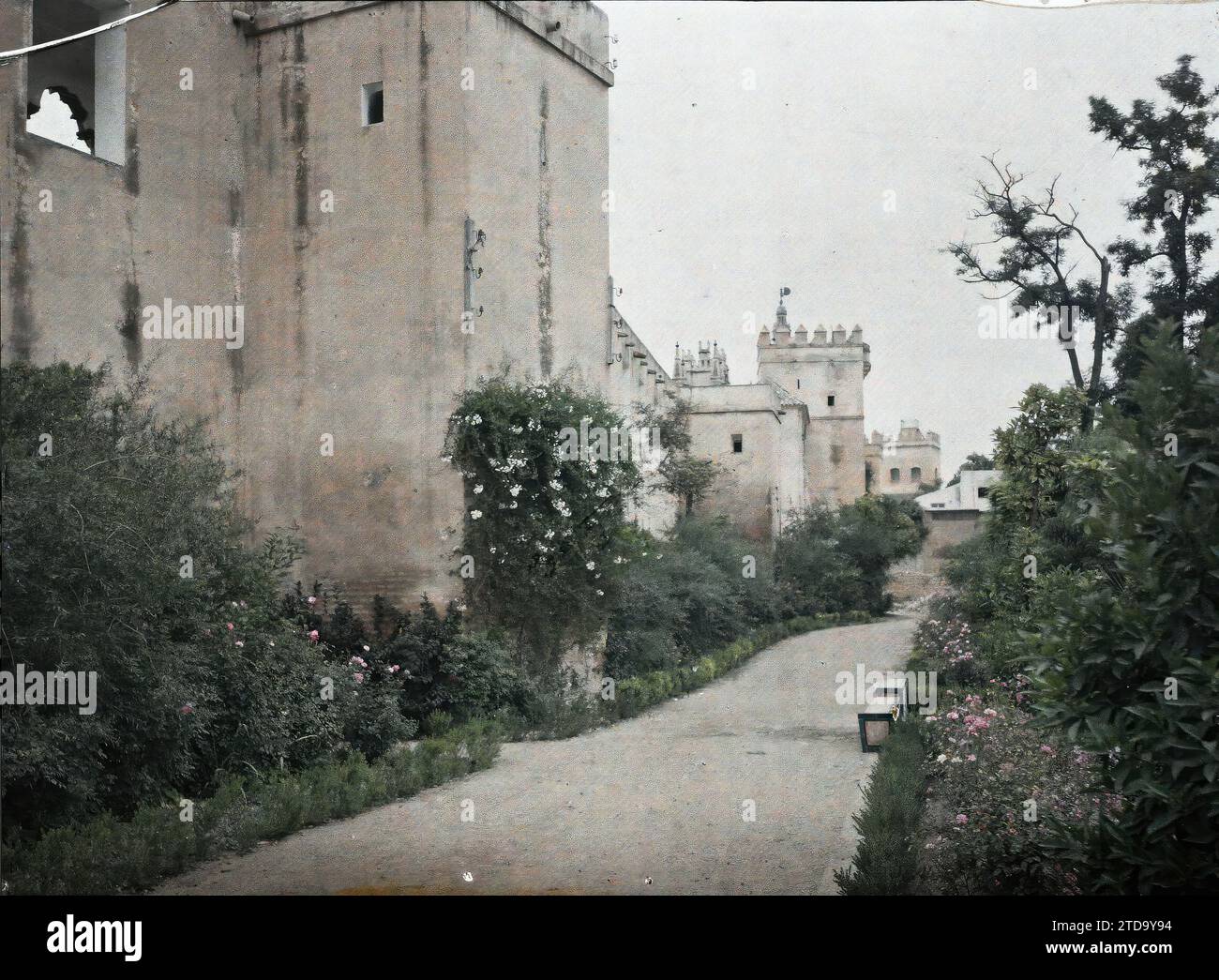 Séville, Espagne murs de l'Alcazar?, Habitat, Architecture, Art, nature ...