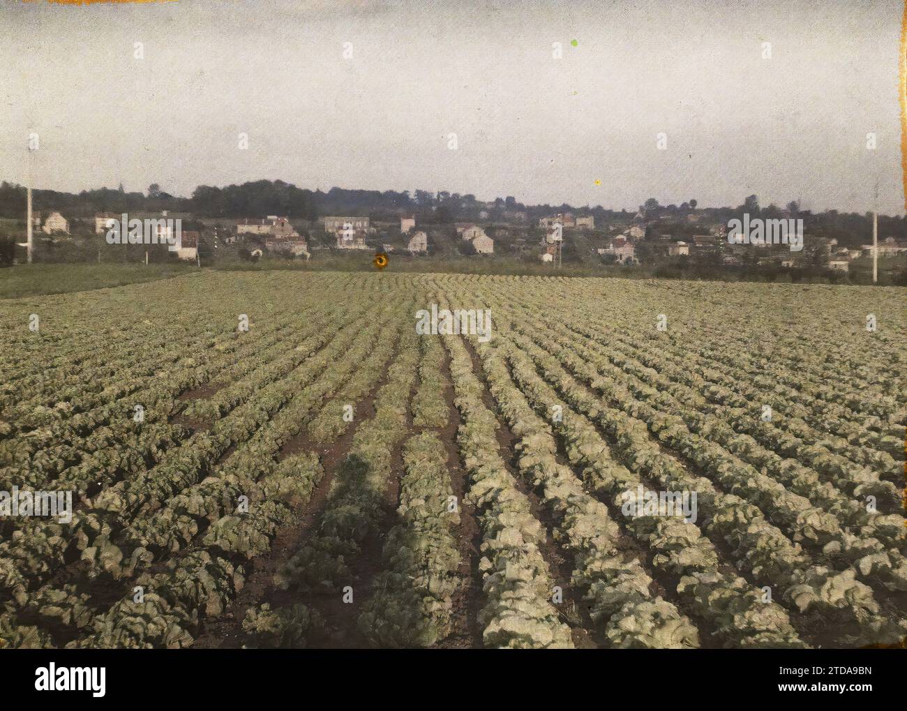 Sarcelles-Saint-Brice, France, nature, Environnement, activité ...