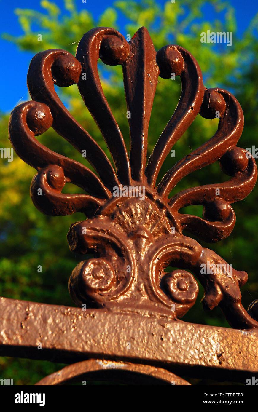 Détails d'une porte ornée en fer forgé à Charleston, Caroline du Sud ...