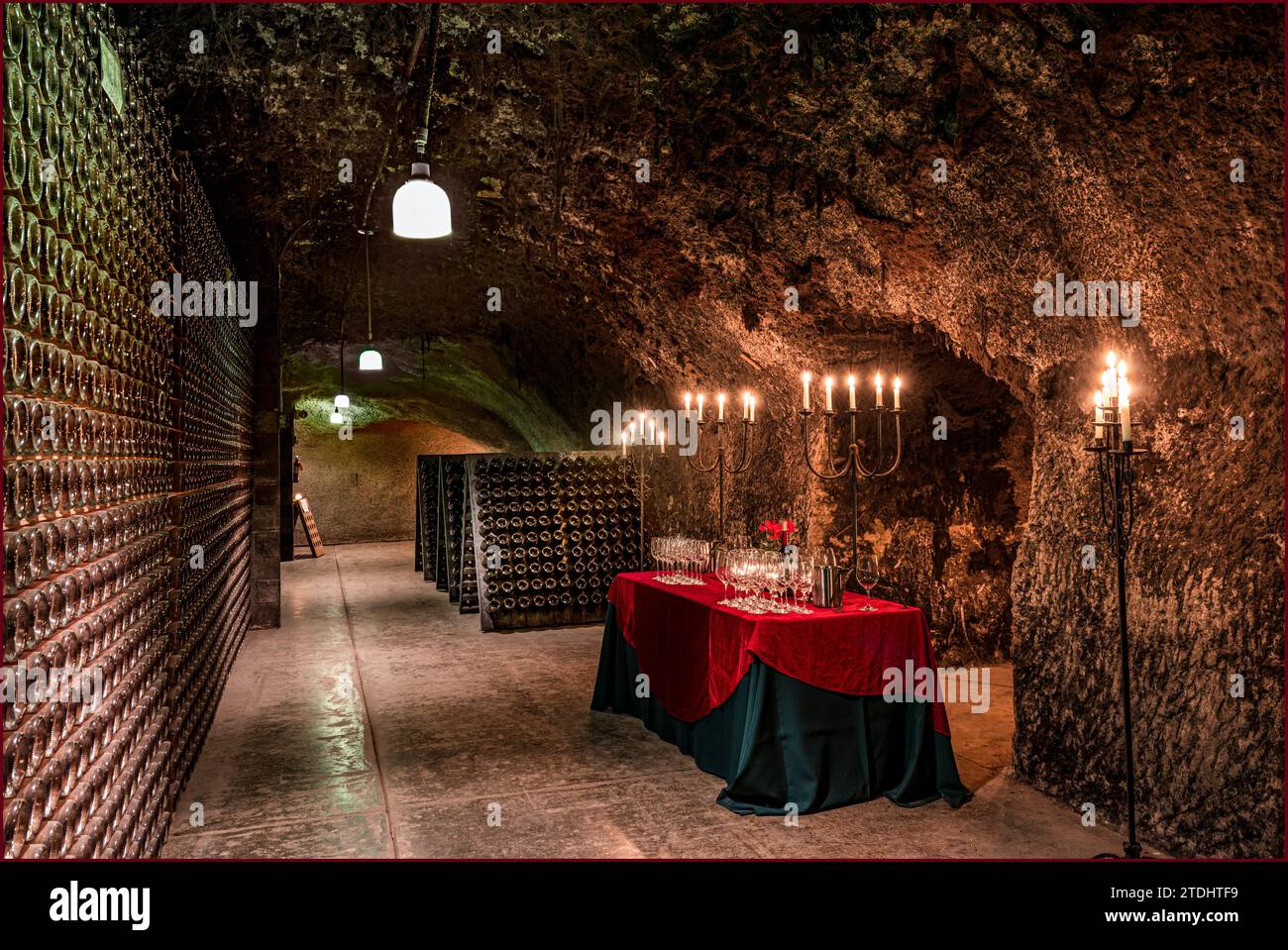 TABLE DE DÉGUSTATION DE VINS FINS DE LUXE DANS UNE CAVE À BOUTEILLES ...