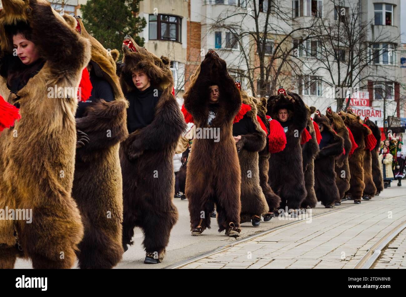 Costumbres y tradiciones de los animales Banque de photographies et d ...