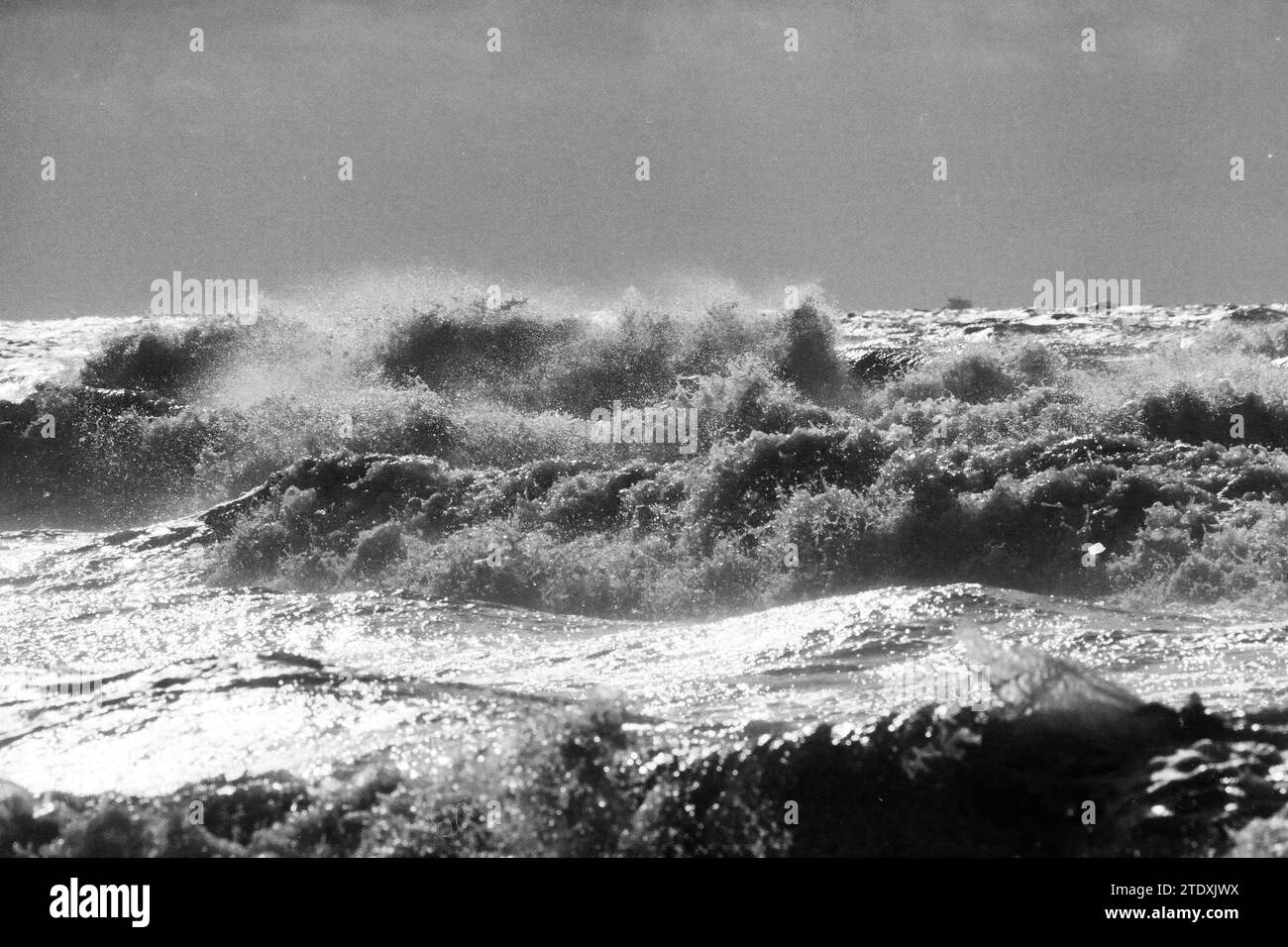 Mer agitée, 00-00-1990, Whizgle News from the Past, taillé pour l ...