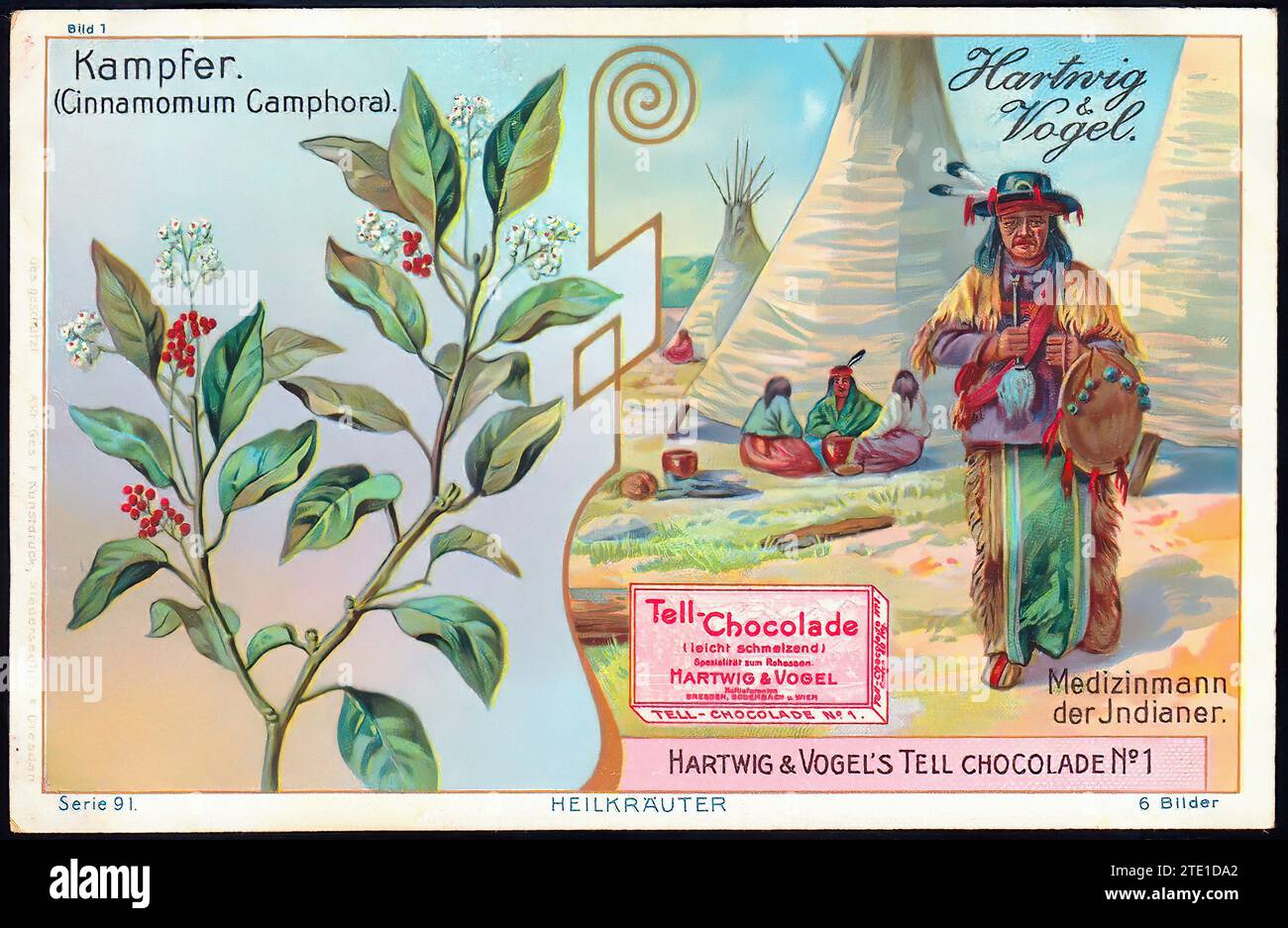 Campher Banque de photographies et d’images à haute résolution - Alamy