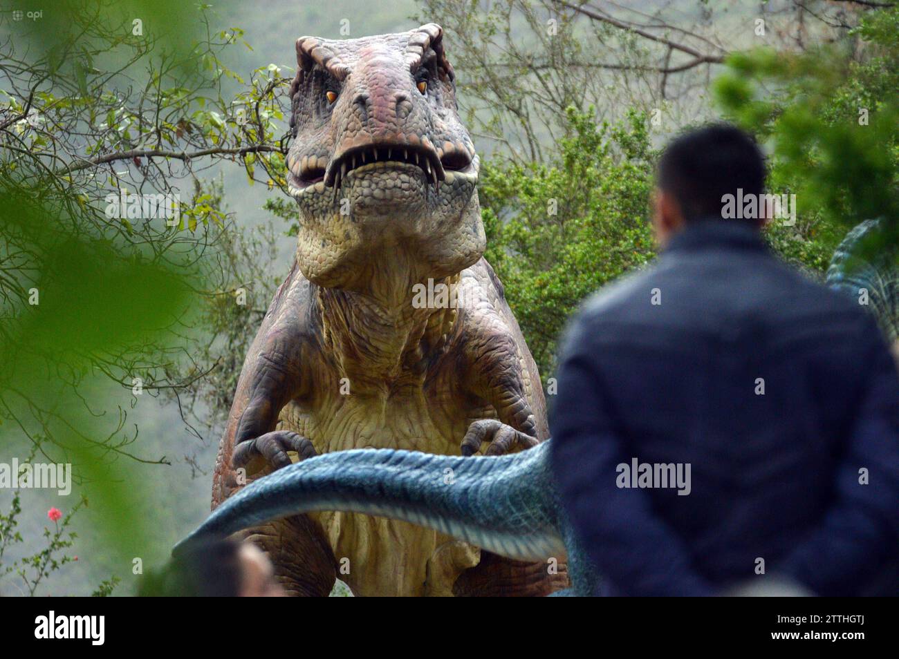 PAUTE-PARQUE JURASICO Cuenca,Ecuador 20 de diciembre de 2023 Paute ...