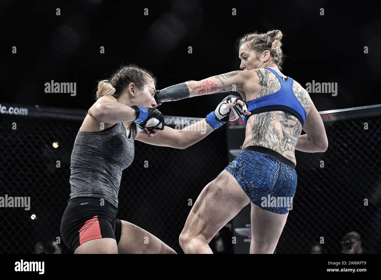 Combattants femmes mma Banque de photographies et d’images à haute ...