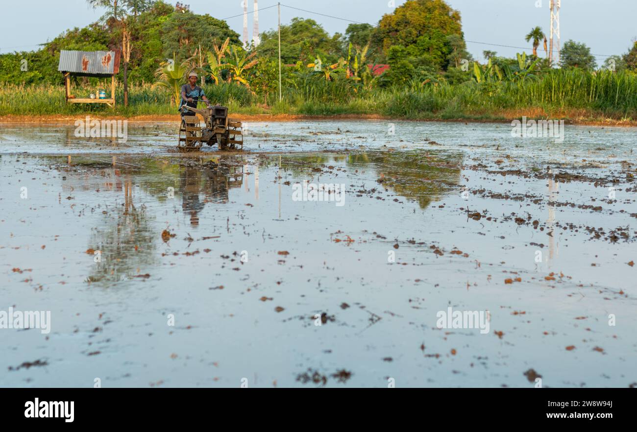 Sumenep Regency, Indonésie - 20 décembre 2023- agriculteur labourant un ...