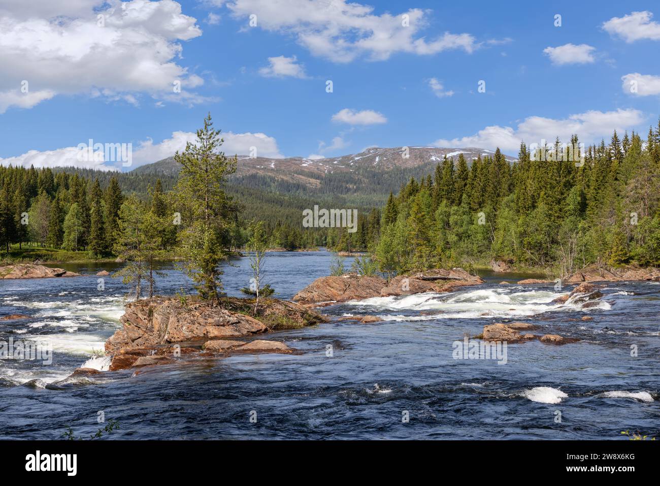 Des cascades rapides à Namsskogan, Trondelag, Norvège, sillonnent un ...