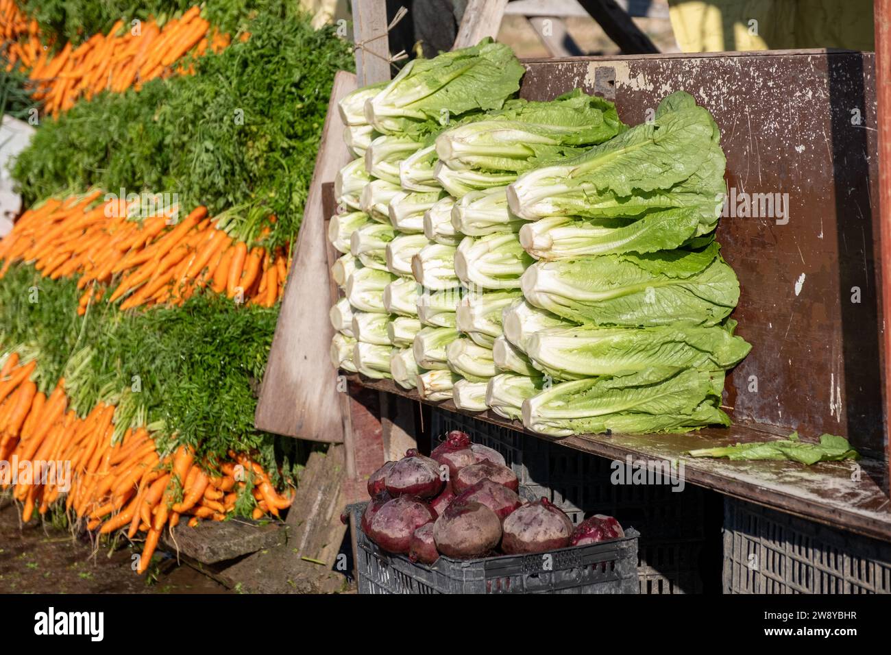 Laitue et carottes disponibles à la vente à un stand de légumes en ...