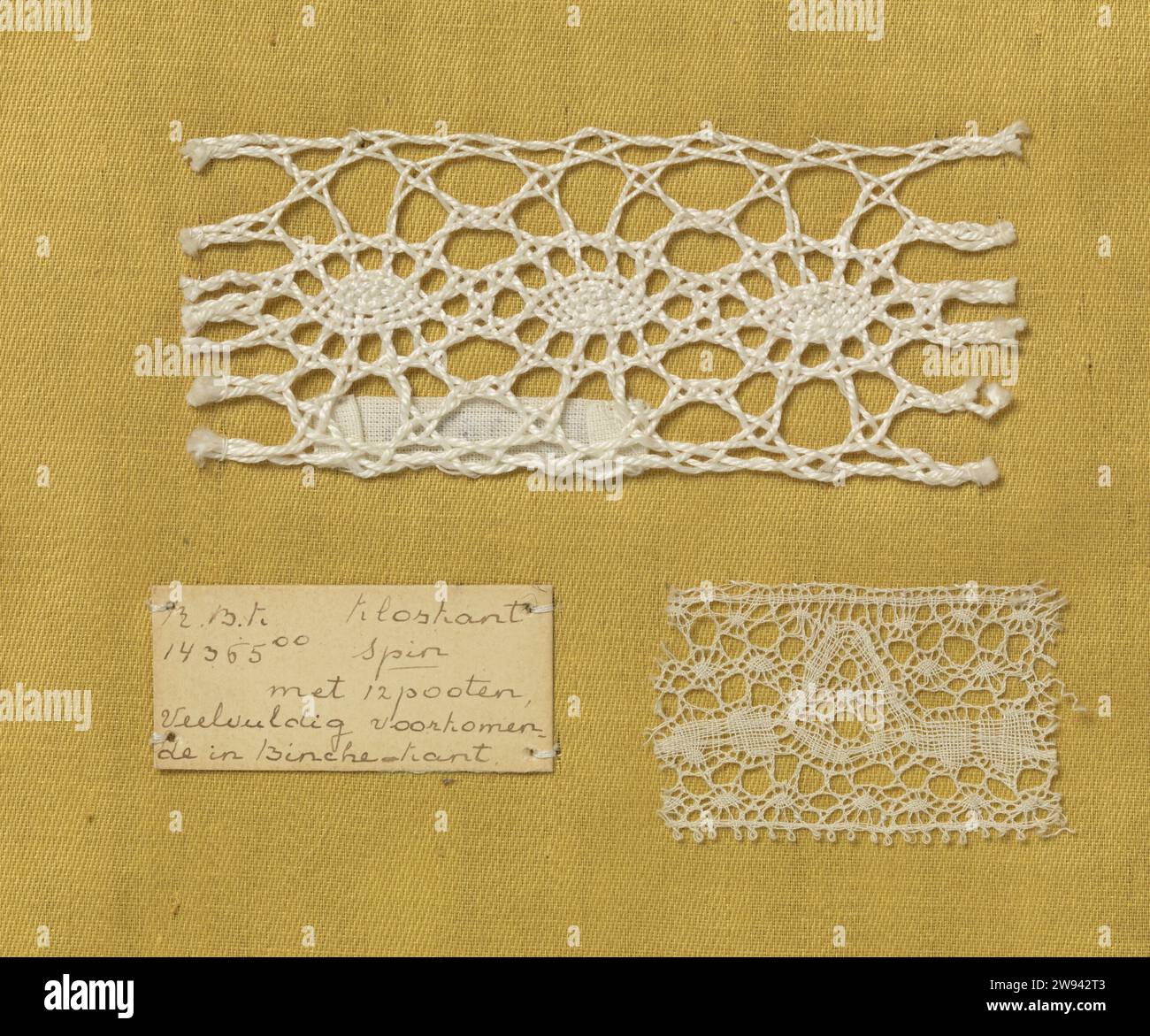 Canette en acier avec fil grossier comme exemple d'araignées annelées ...