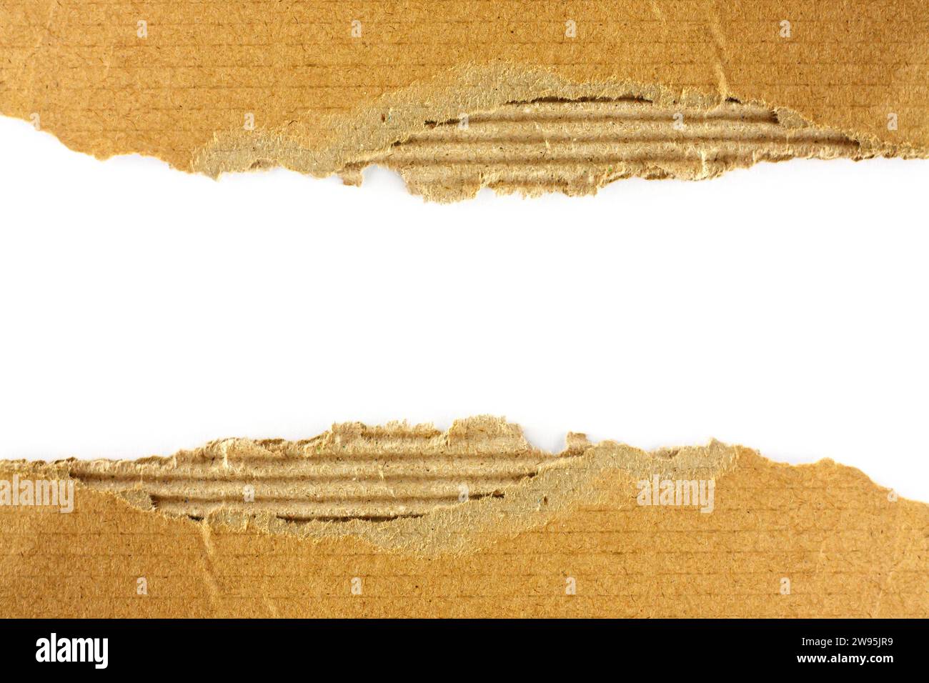 Torn paper edge vector Banque de photographies et d’images à haute ...