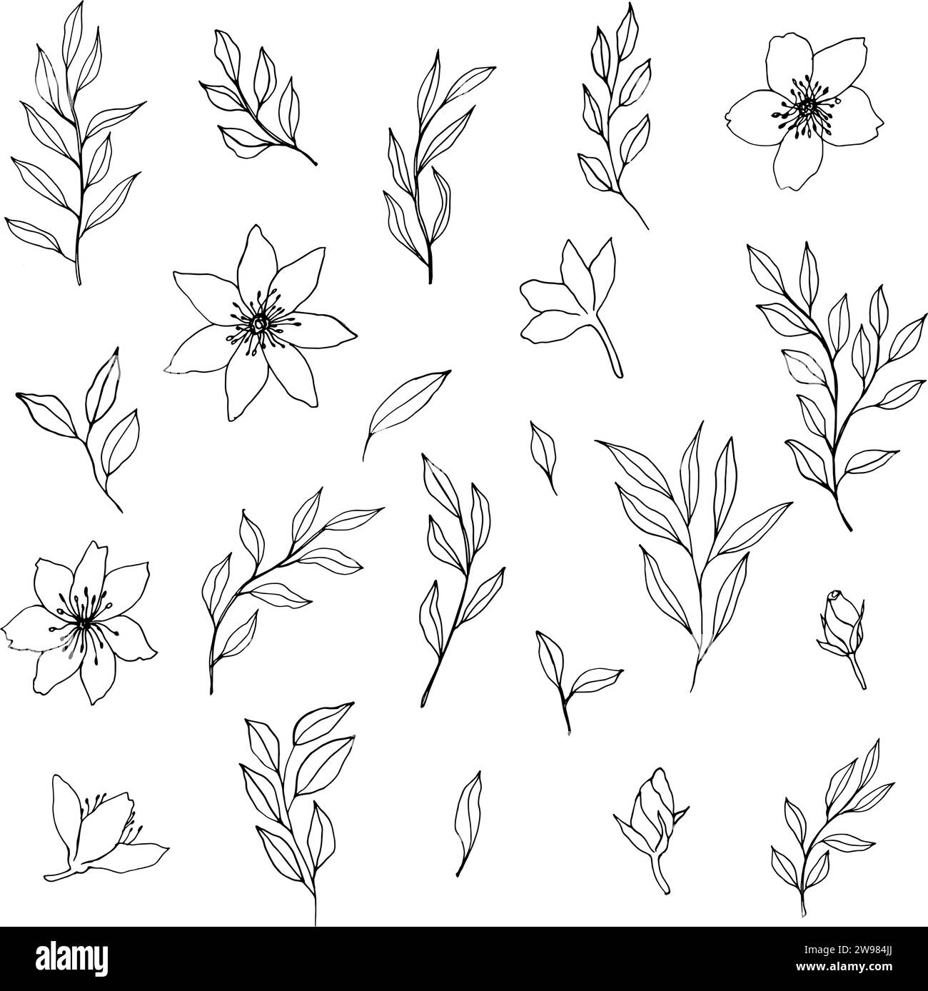 Dessin de contour fleurs et feuilles Banque de photographies et d ...