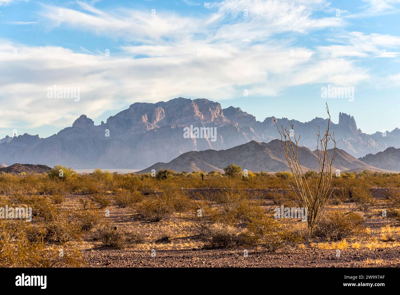 Kofa national wildlife refuge Banque de photographies et d’images à ...