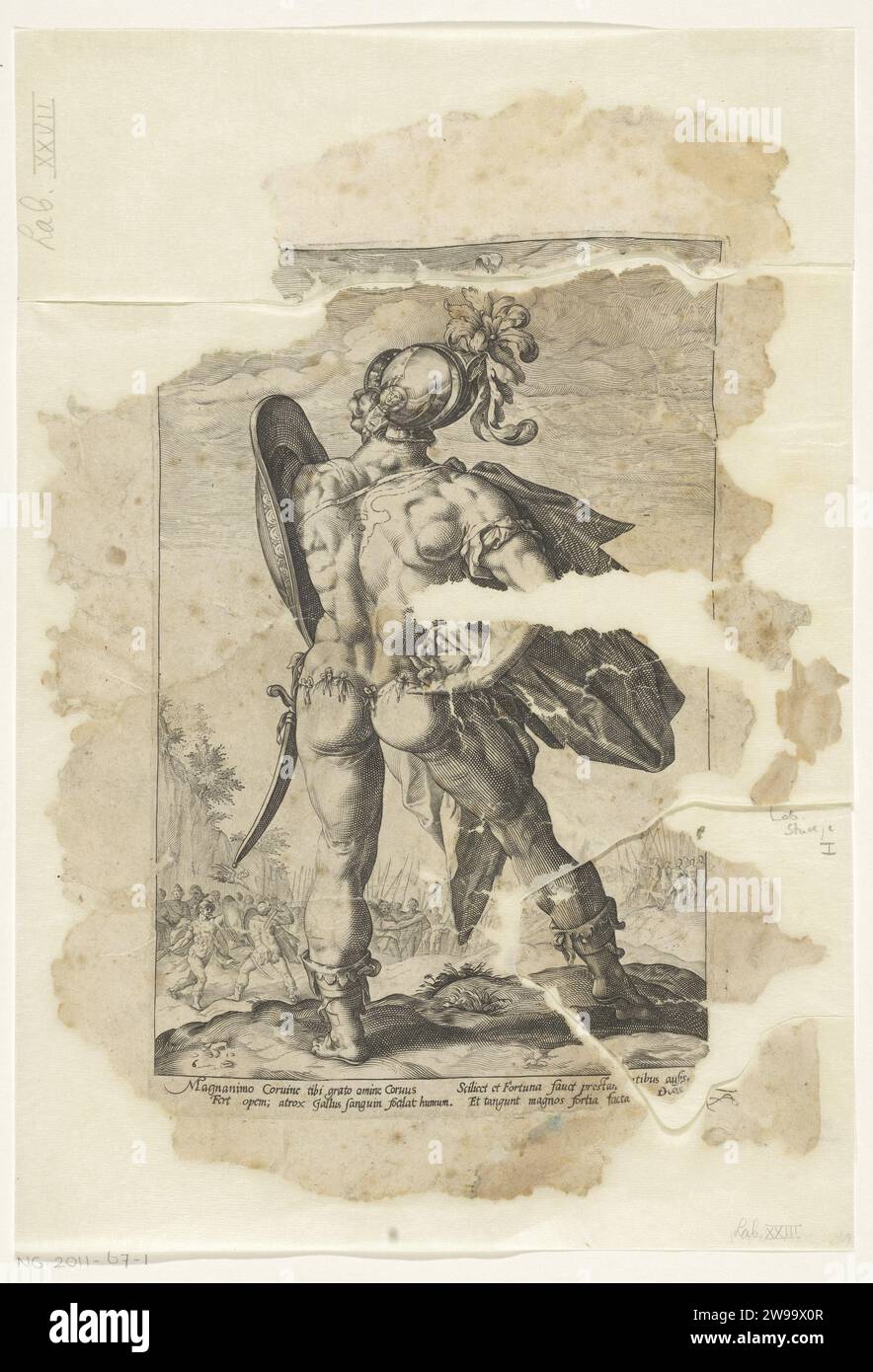 Marcus valerius corvus corvinus Banque de photographies et d’images à ...