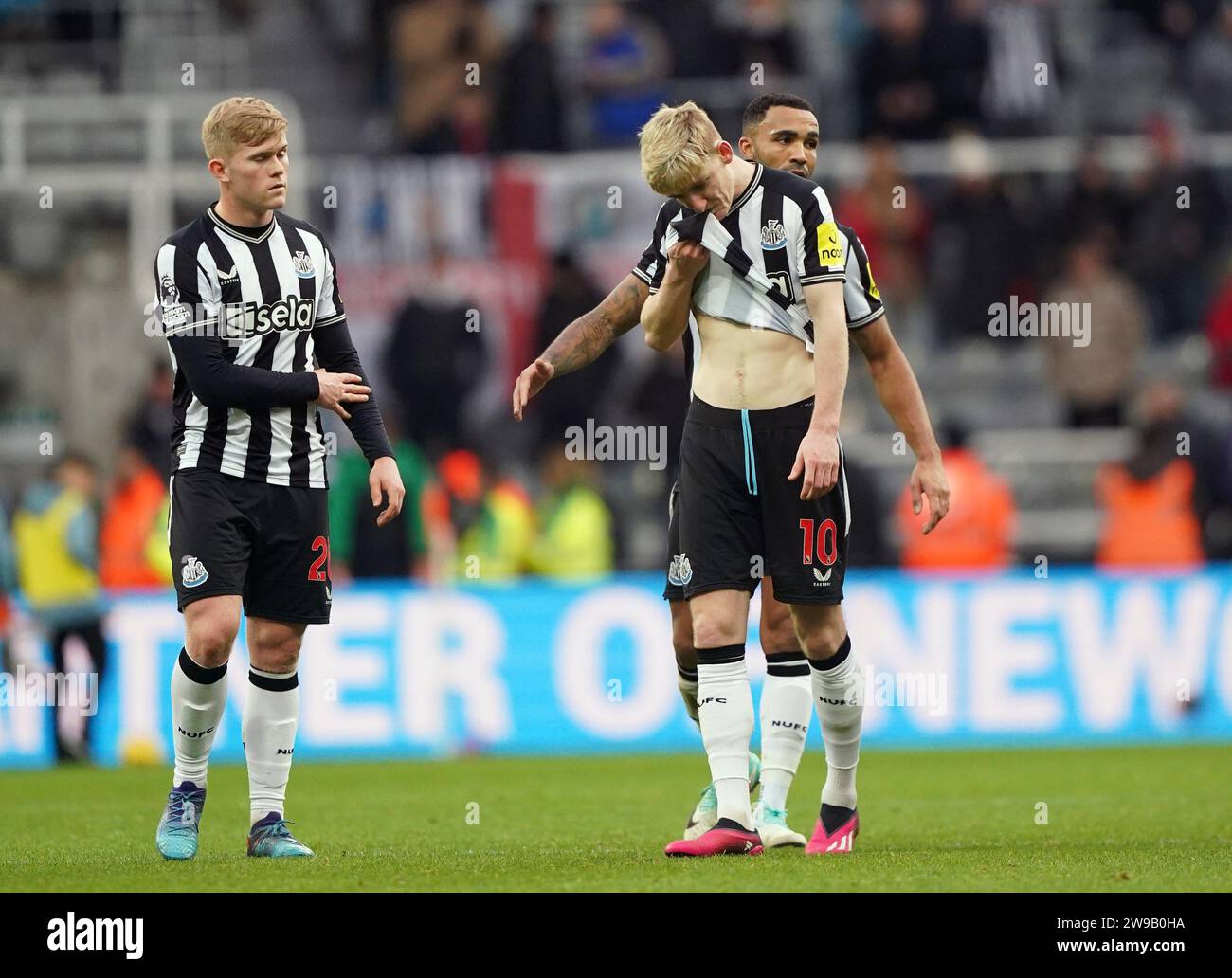 Lewis Hall, Anthony Gordon et Callum Wilson de Newcastle United sont ...