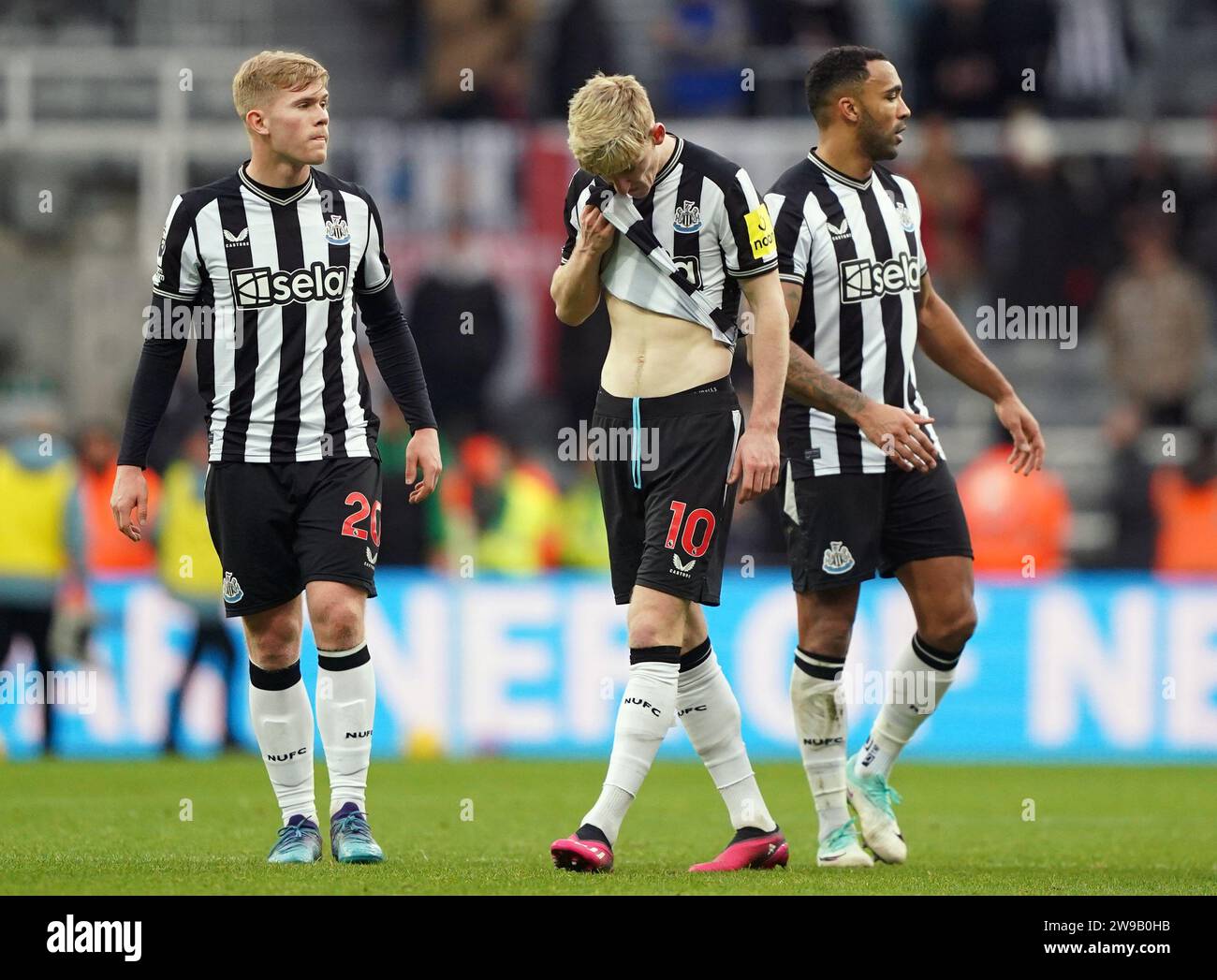 Lewis Hall, Anthony Gordon et Callum Wilson de Newcastle United sont ...