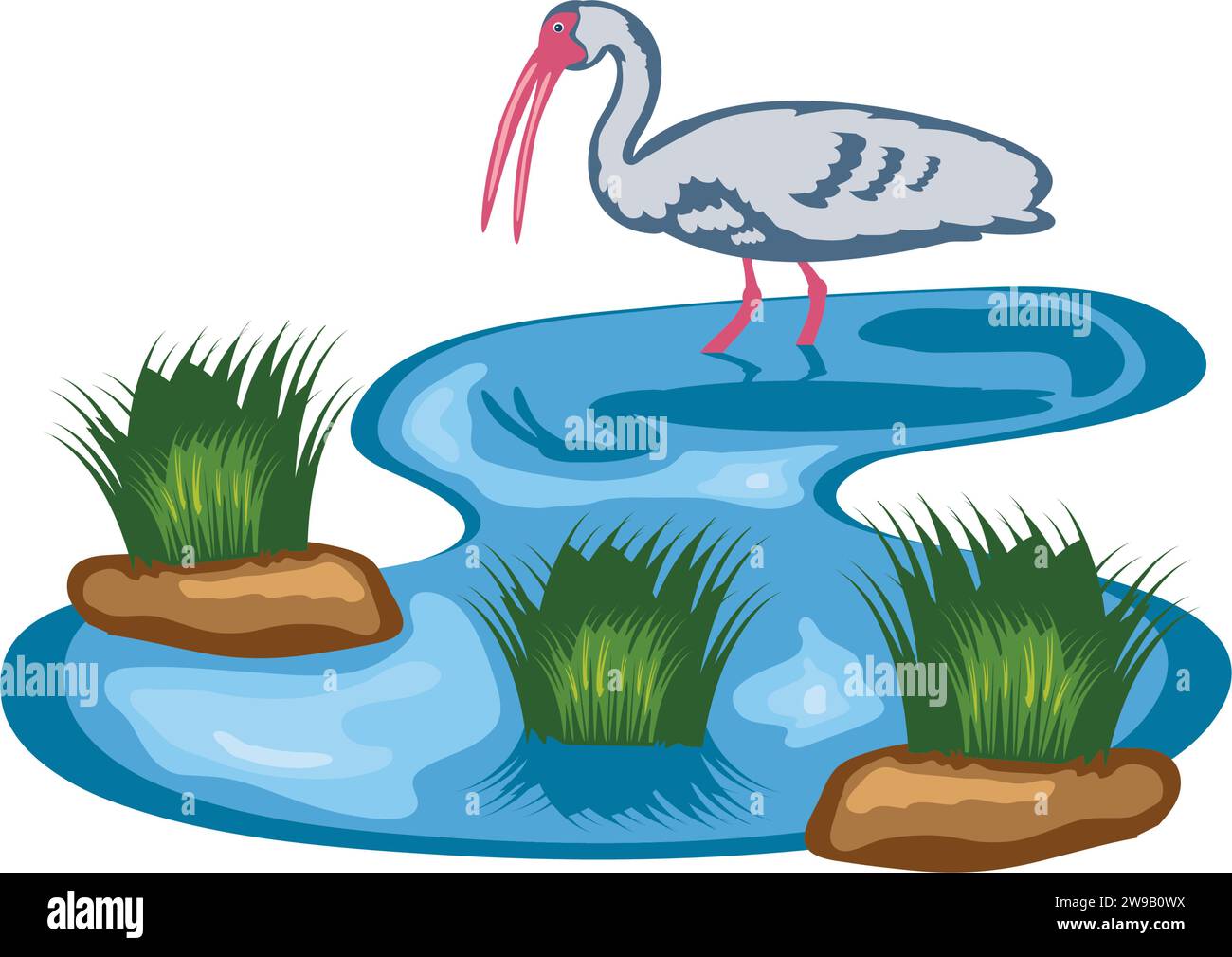 Paysage de zones humides Banque d'images vectorielles - Alamy