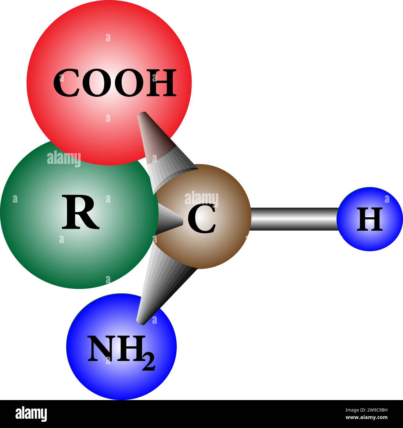 Acide aminé essentiel Banque d'images vectorielles - Alamy