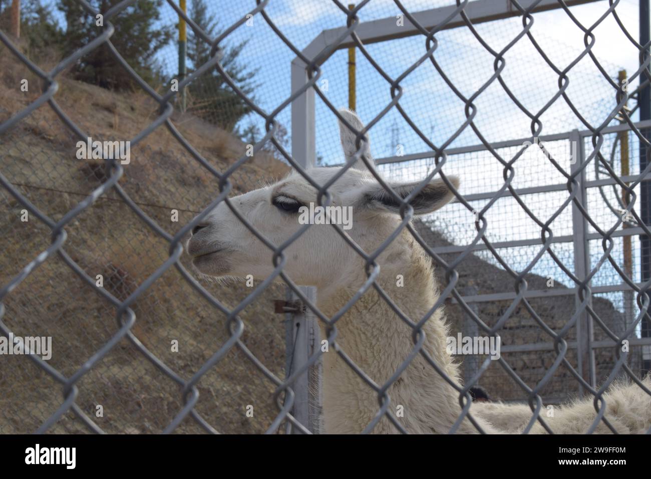 Beautiful derrieres Banque de photographies et d’images à haute ...