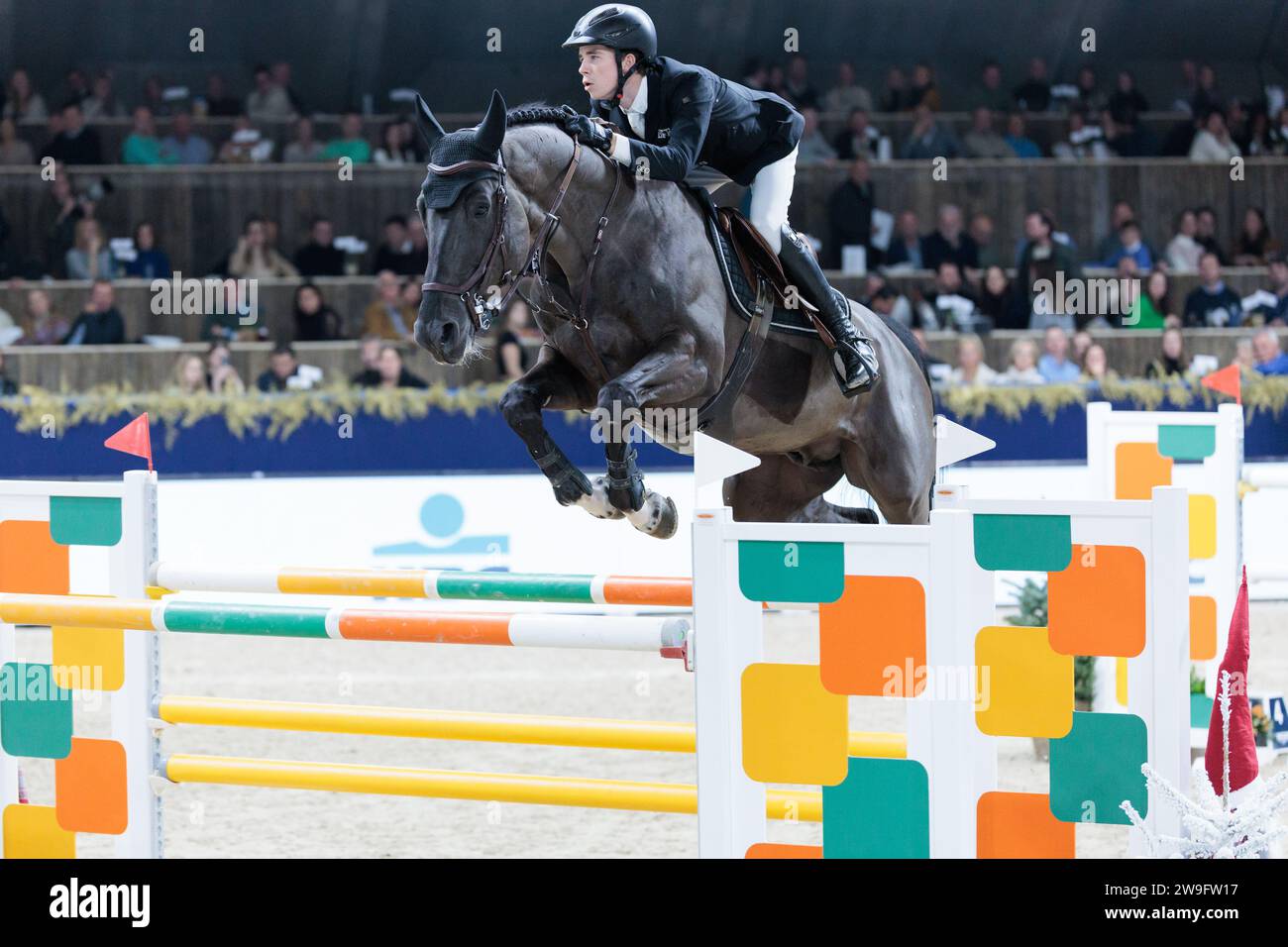 Thibeau Spits de Belgique avec Impress-K van 'T Kattenheye Z lors de la ...