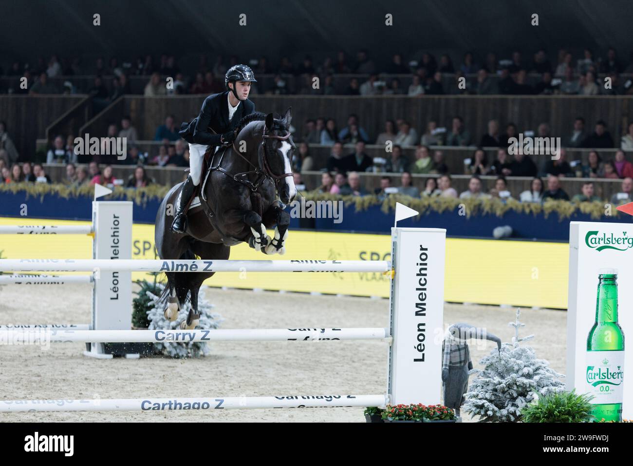 Gilles Thomas de Belgique avec Feromas van Beek Z lors de la ...