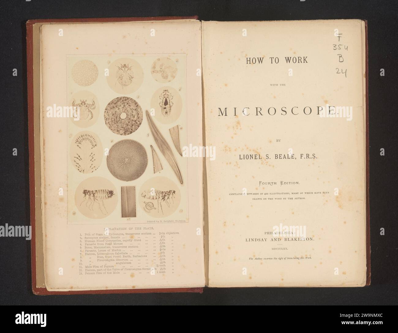 Treize excuses photo, faites sous un microscope, Richard Leach Maddox ...