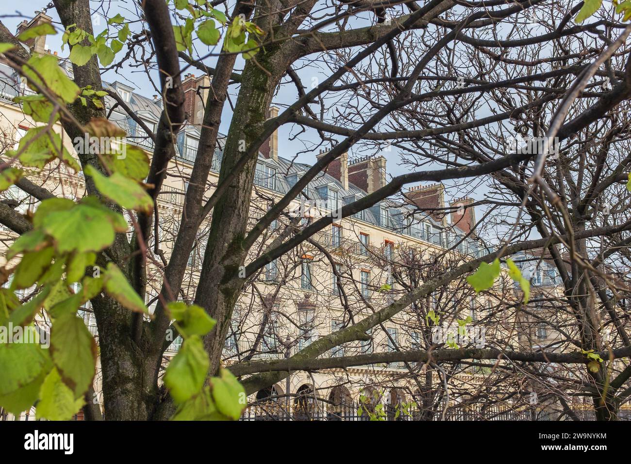 Paris, France, 2023. Vue sur les façades harmonieuses de la rue de ...