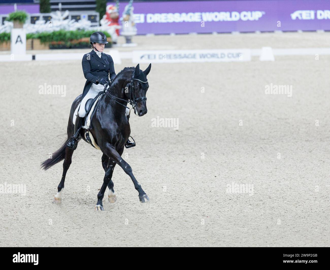 Flore de Winne de Belgique avec Flynn FRH lors de la coupe du monde FEI ...