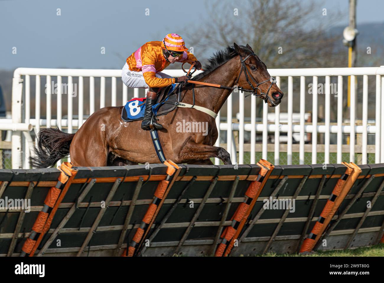 Jockey brendan powell Banque de photographies et d’images à haute ...