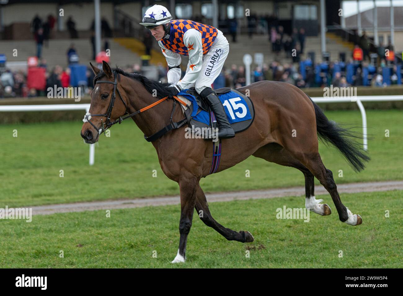 My Granny Lily, montée par David Noonan et entraînée par Nigel Hawke ...