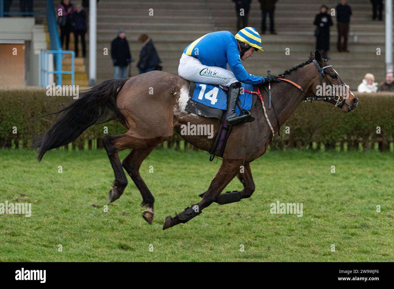Lightonthewing, monté par Lucy Gardner et entraîné par Susan Gardner ...