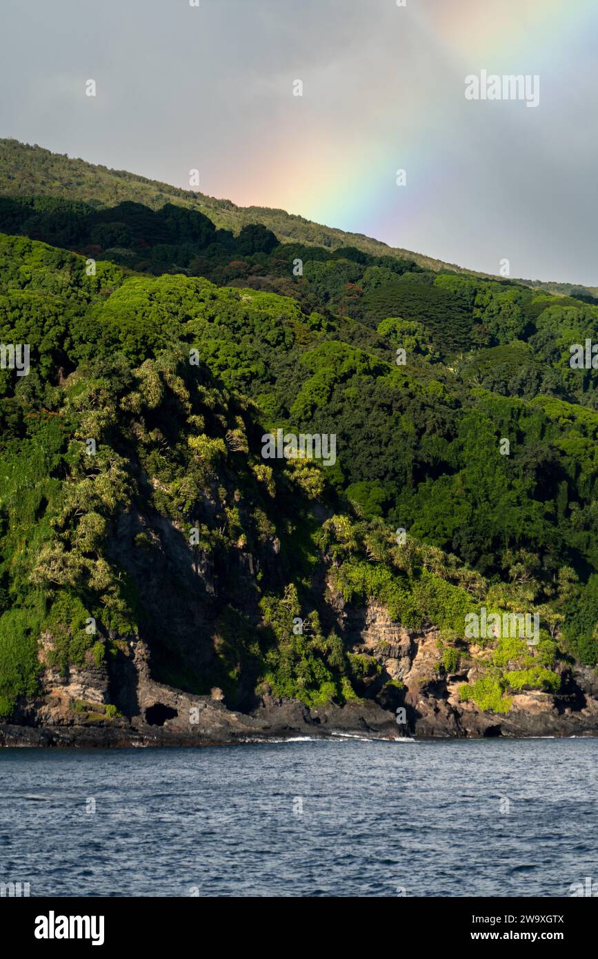 Un arc-en-ciel subtil touche la végétation luxuriante et à flanc de ...