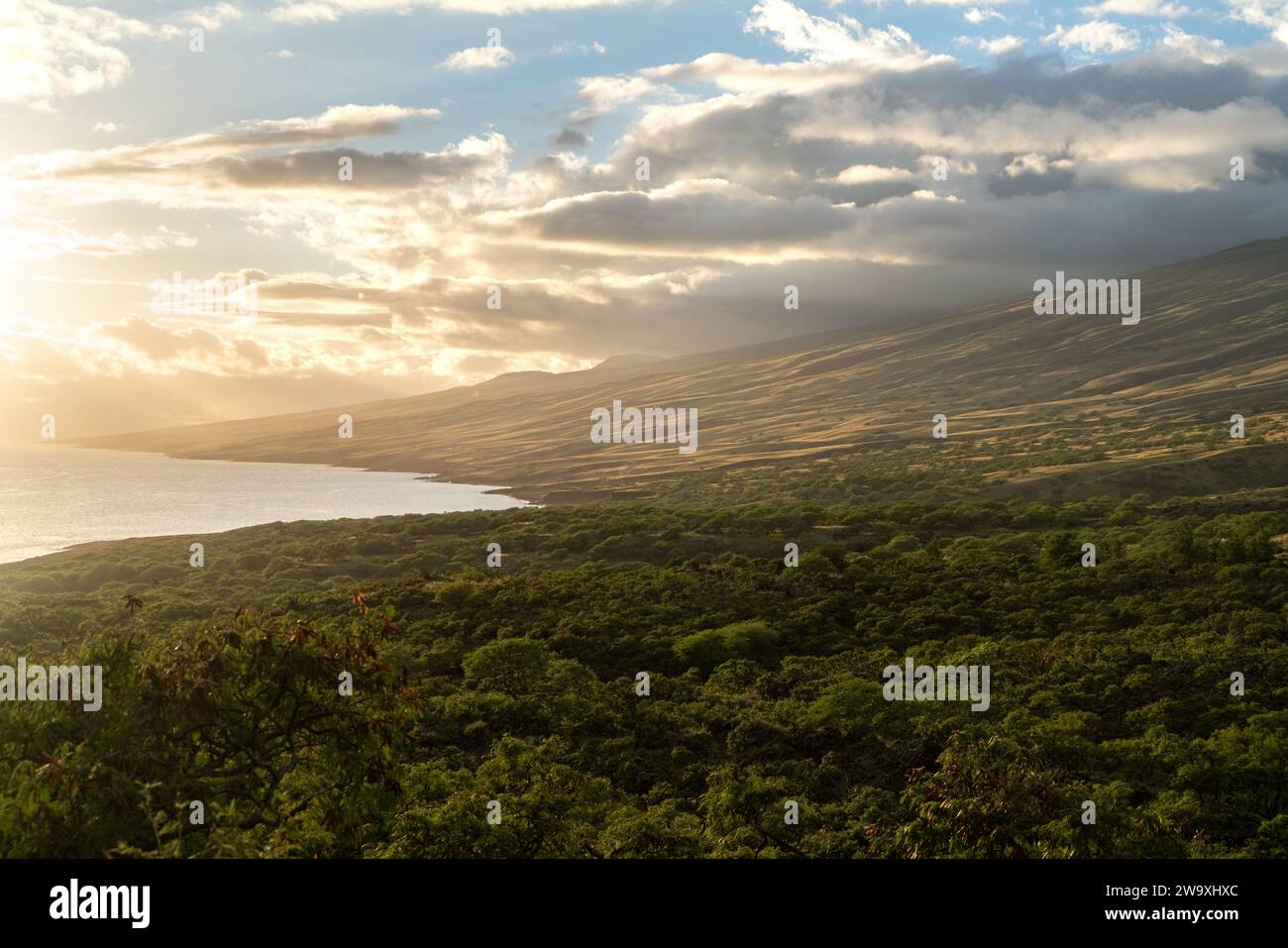 Les derniers rayons d'un coucher de soleil à Maui baignent le paysage ...