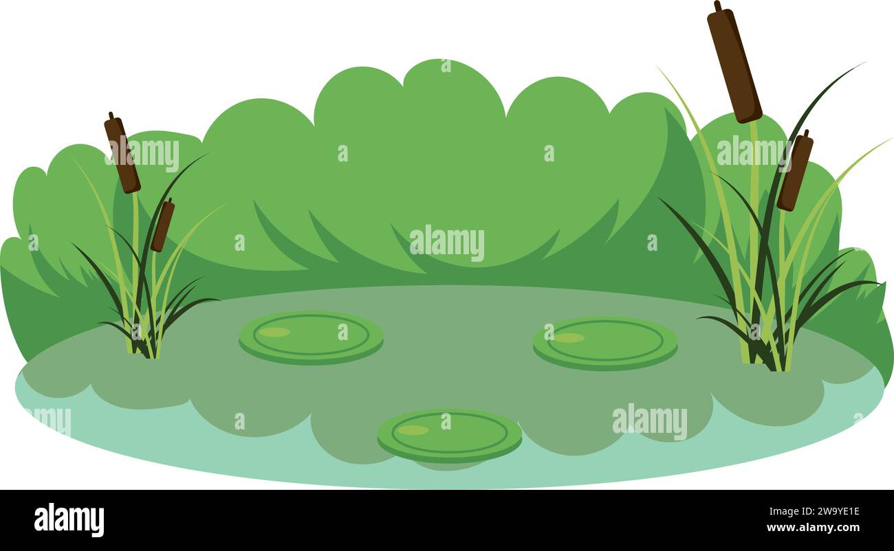 Arbre des zones humides Banque d'images vectorielles - Alamy