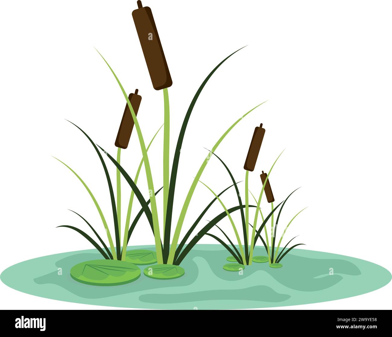 Paysage de zones humides Banque d'images vectorielles - Alamy