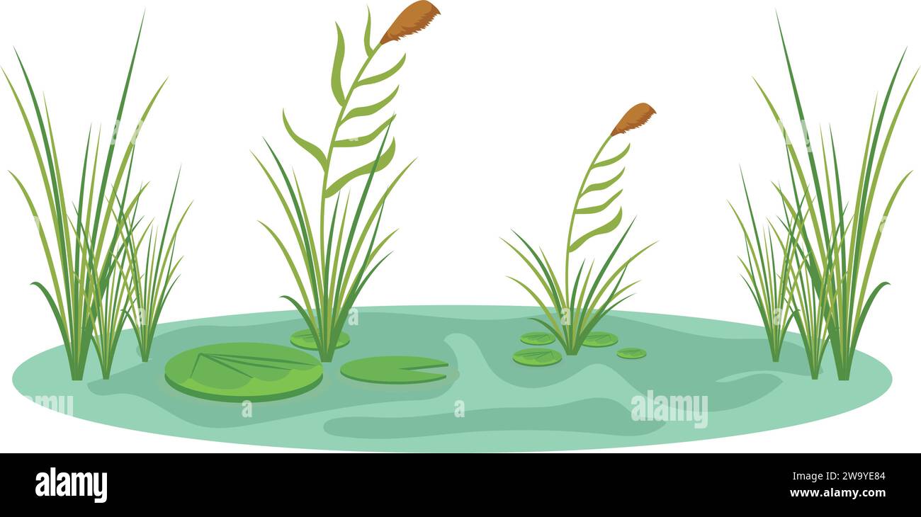 La faune et les zones humides Banque d'images vectorielles - Alamy