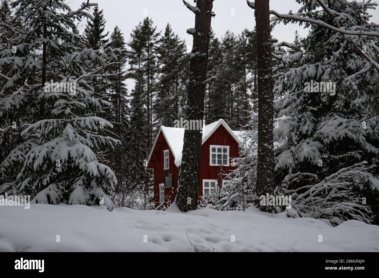 Maison en bois dans un paysage d'hiver Banque de photographies et d ...