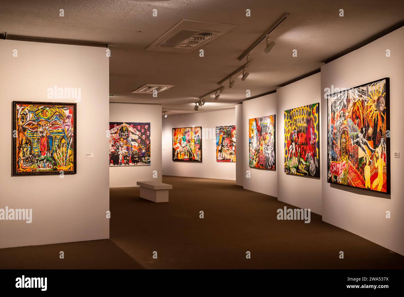 Orsten Groom rétrospective 'Vulcan of Coma', le musée Paul Valery ...