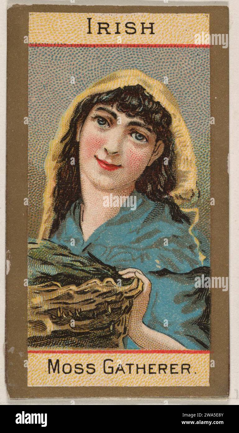 Ramasseur de mousse Banque de photographies et d’images à haute résolution - Alamy