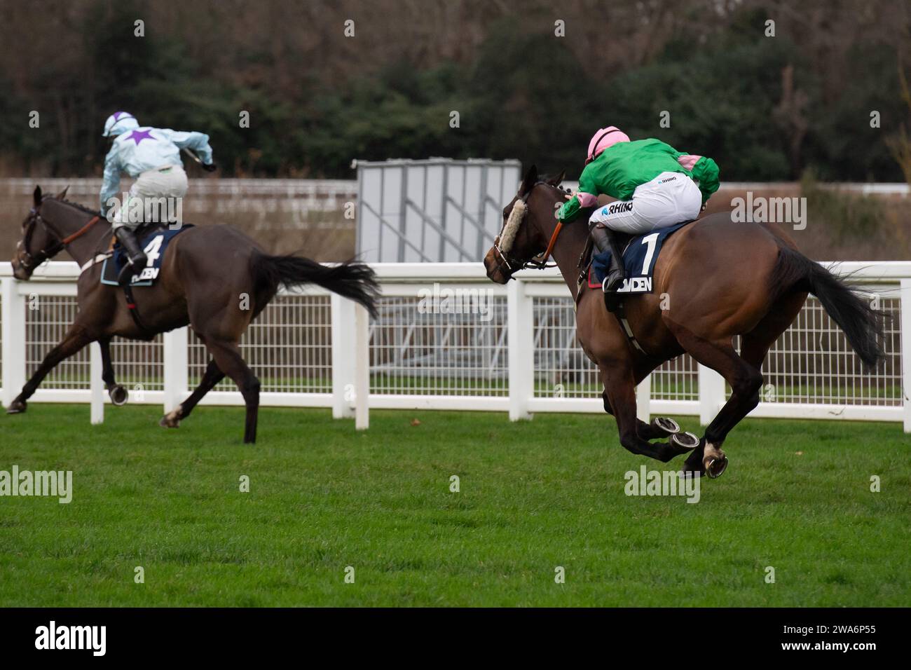 Ascot, Berkshire, Royaume-Uni. 22 décembre 2023. Horse Homme public (No ...
