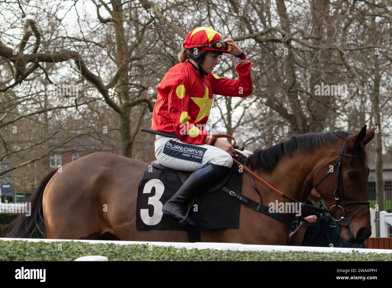 Ascot, Berkshire, Royaume-Uni. 22 décembre 2023. Horse Douglas DC monté ...
