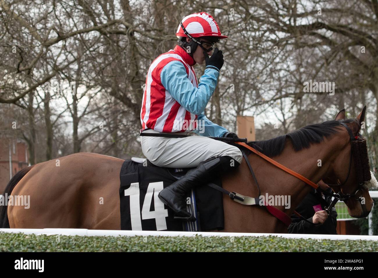 Ascot, Berkshire, Royaume-Uni. 22 décembre 2023. Horse Redbridge ...