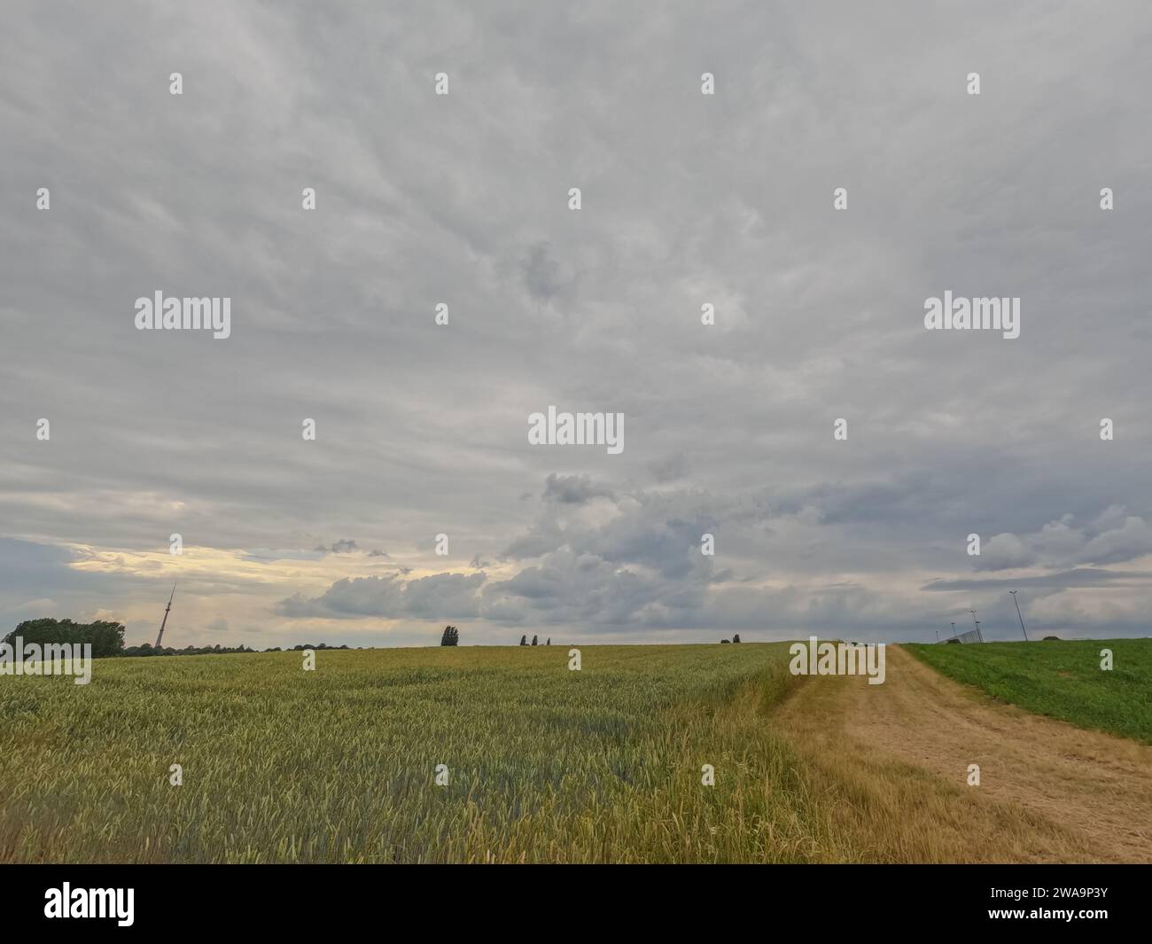 Cette image montre un chemin de terre coupant à travers un vaste champ ...